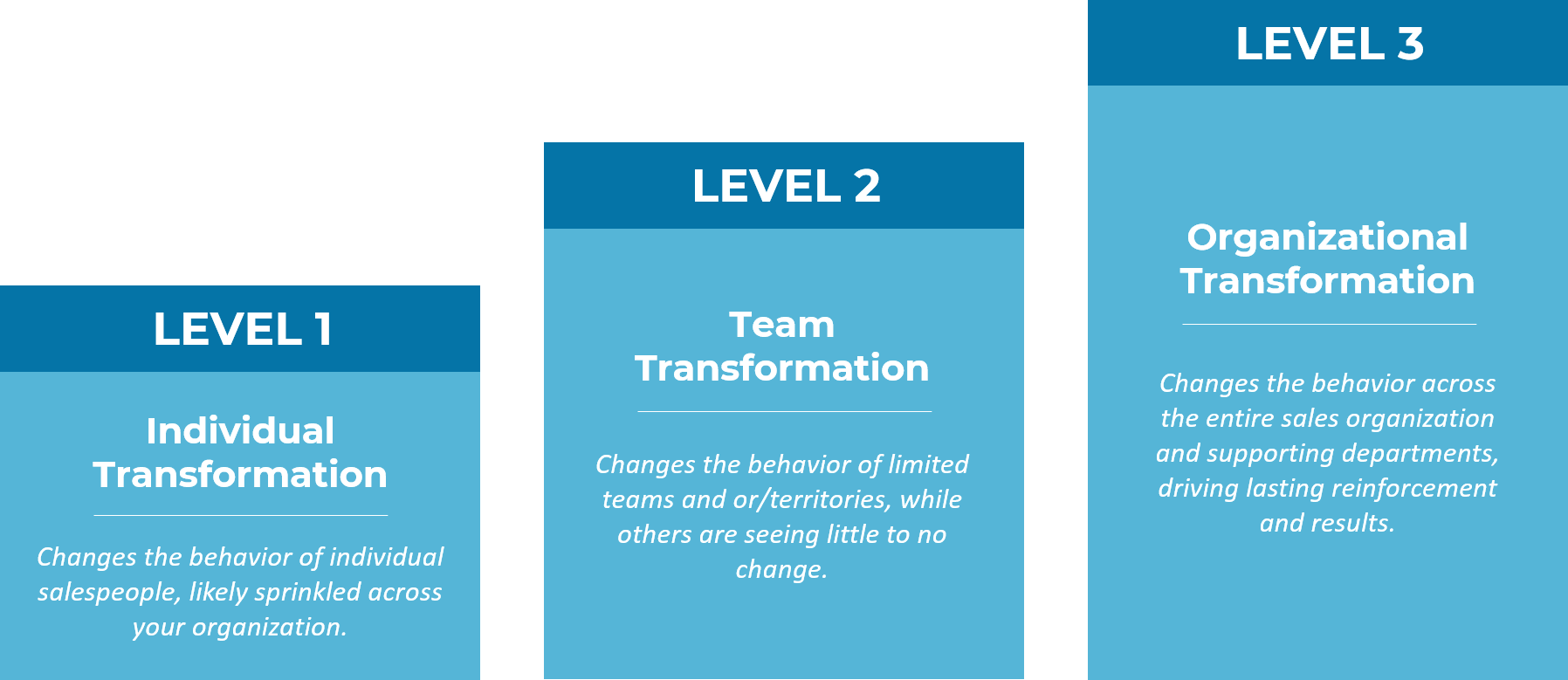 Sales Transformation: The Ladder to Organizational Success