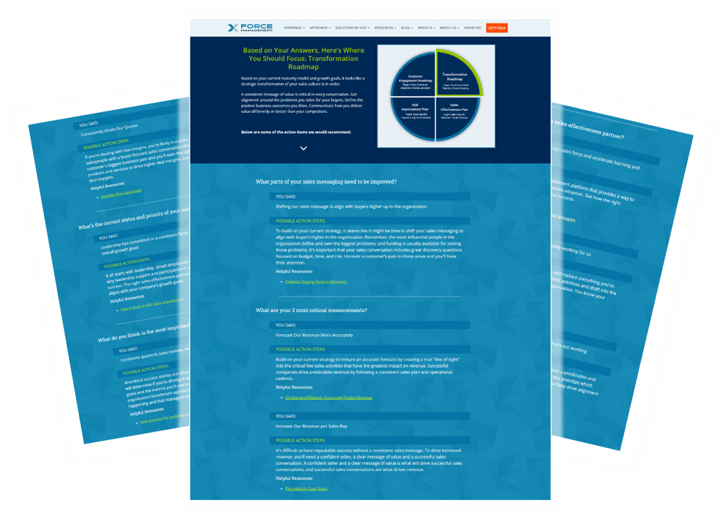 Sales Assessment Tool | Define Your Sales Initiative | Force Management